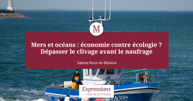 Mers et océans : économie contre écologie ? Dépasser le clivage avant ...