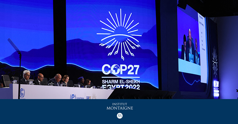 COP27: a Tale of Reparation, Confrontation, Competition, and ...